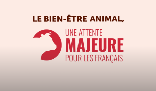 webtv | SVA Jean Rozé